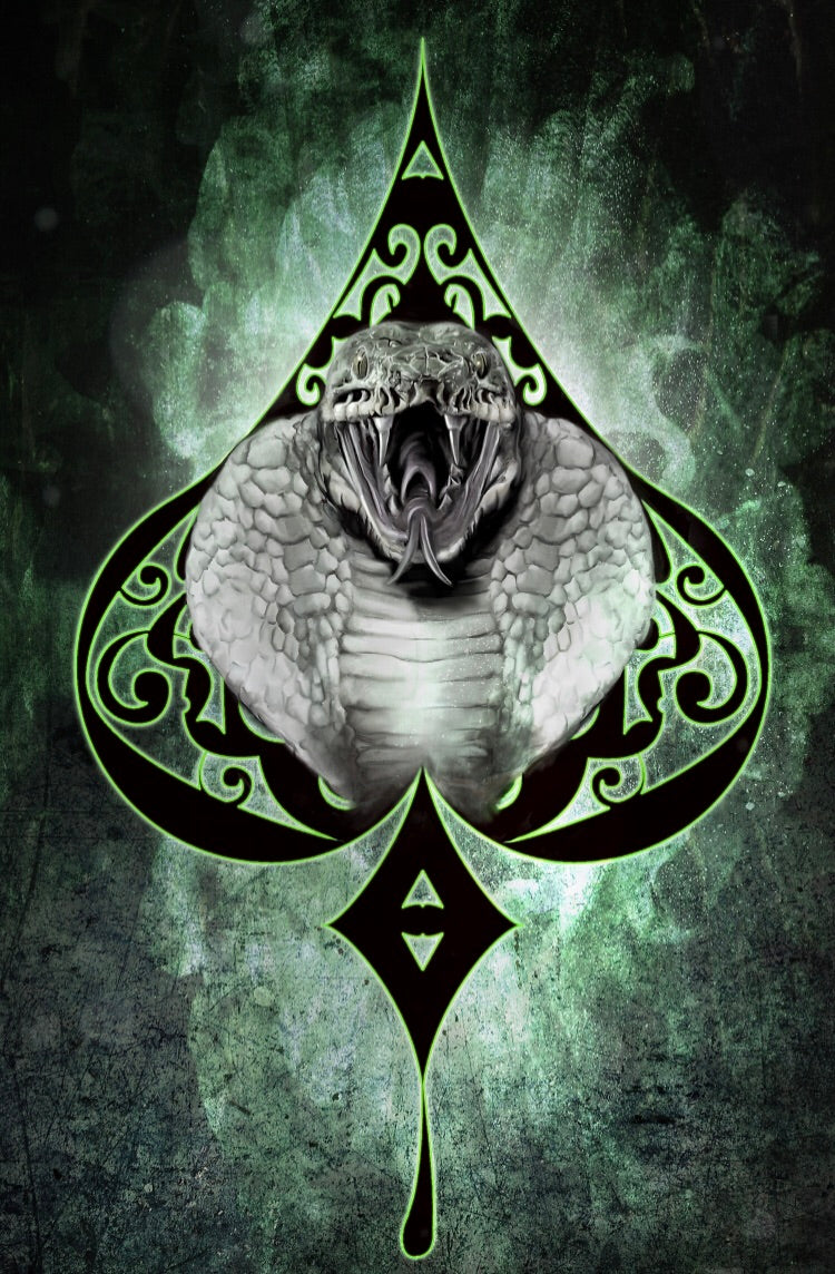 Ace of Spades Print – Diligent Visual